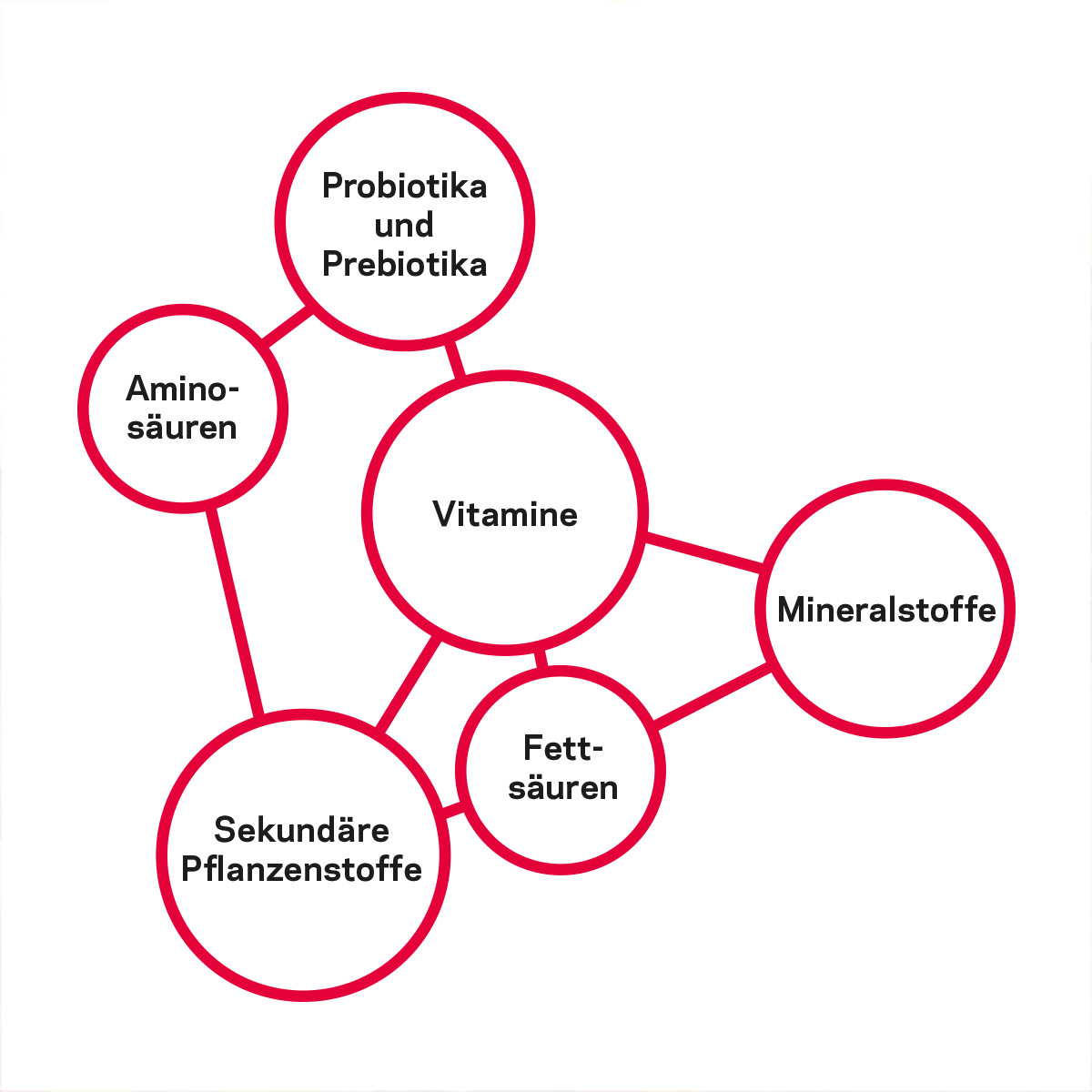Herz - Orthomed Orthomolekulare Ernährungsmedizin